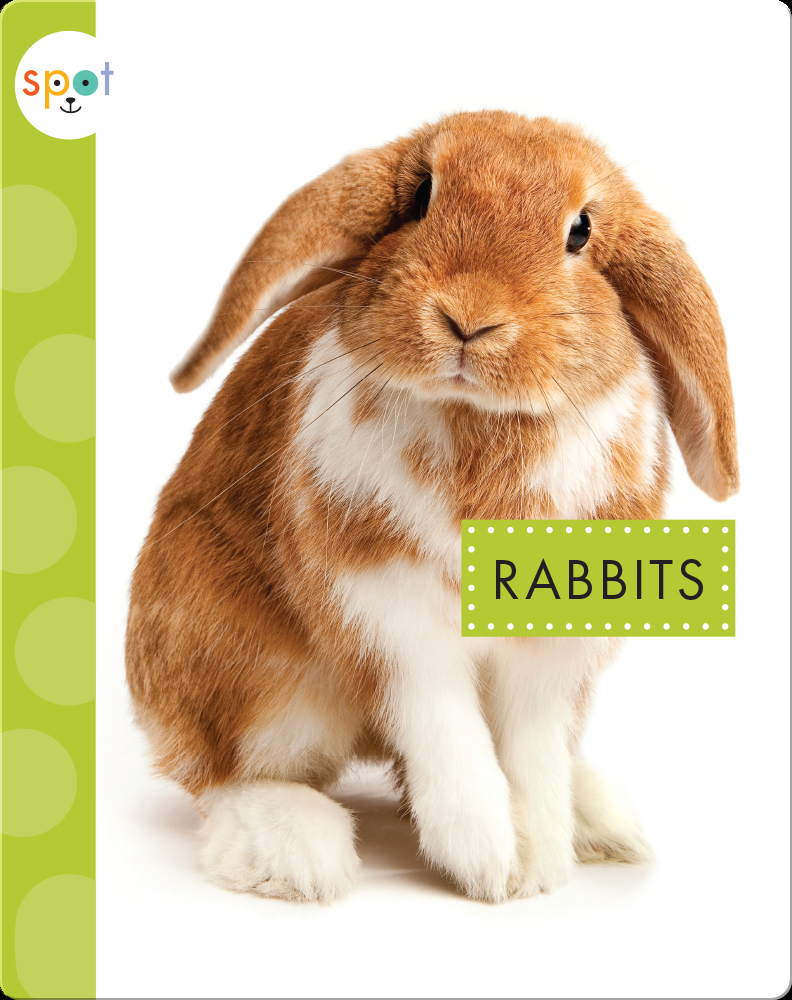 Rabbits Book by Mari Schuh | Epic