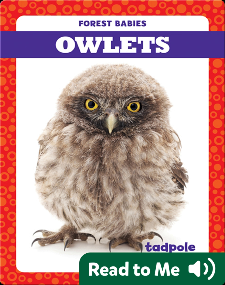 Owlets Book by Genevieve Nilsen | Epic