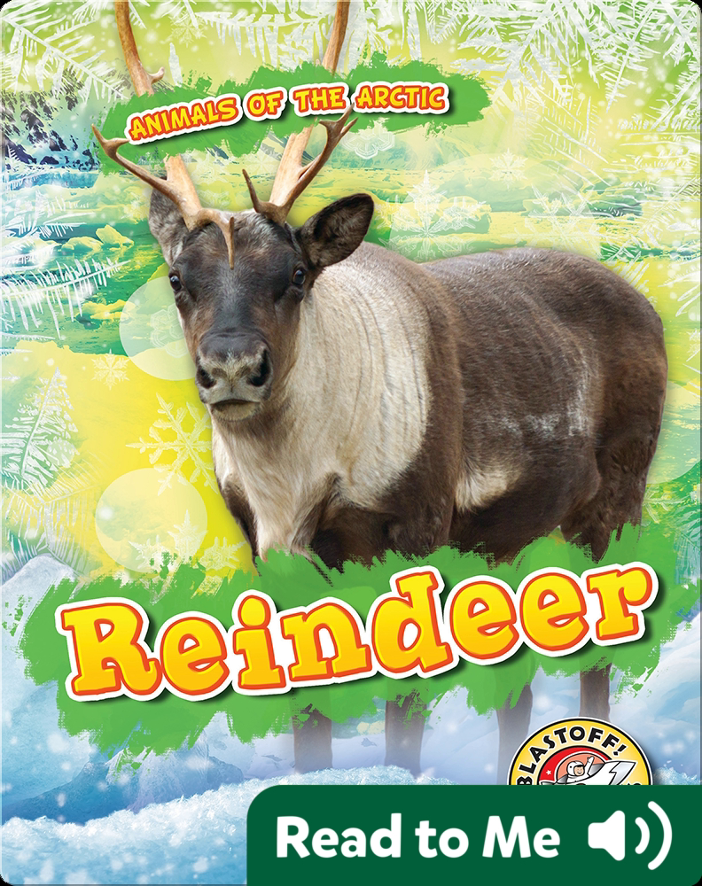 Reindeer Book by Rebecca Pettiford | Epic