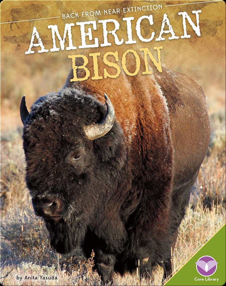 American Bison Book by Anita Yasuda | Epic