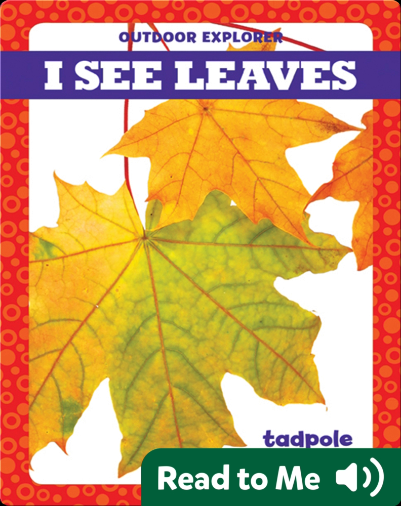 I See Leaves Book by Tim Mayerling | Epic
