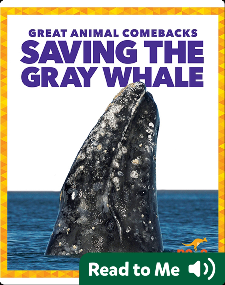 Saving the Gray Whale Book by Karen Latchana Kenney | Epic