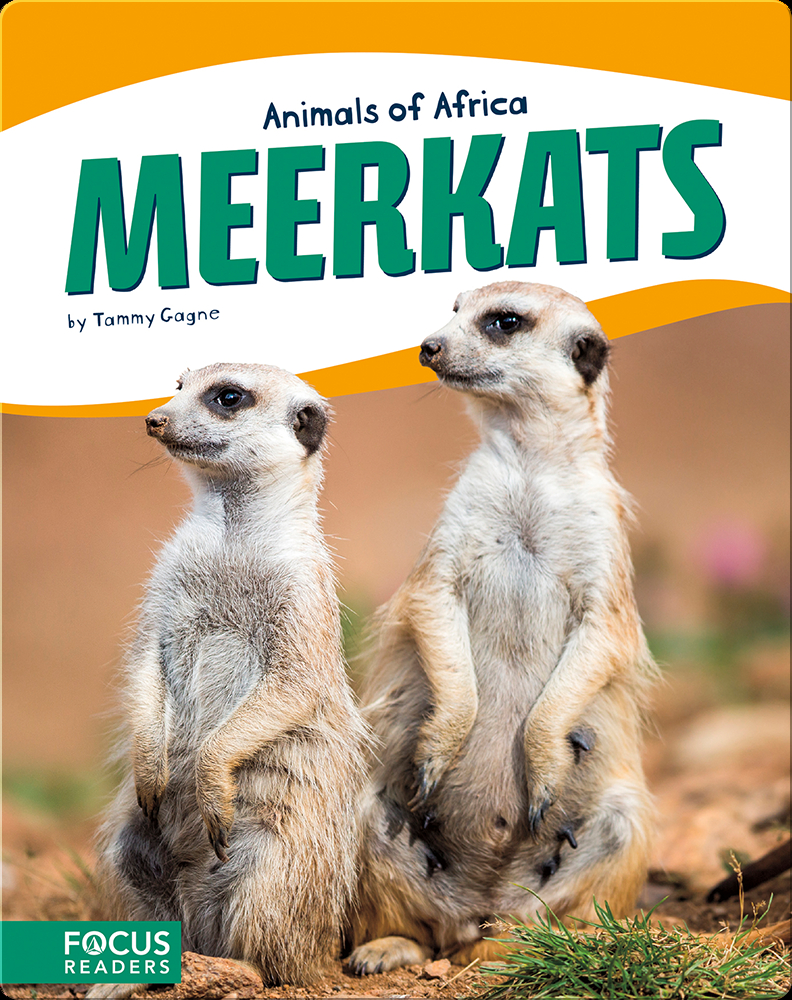 Animals of Africa: Meerkats Book by Tammy Gagne | Epic