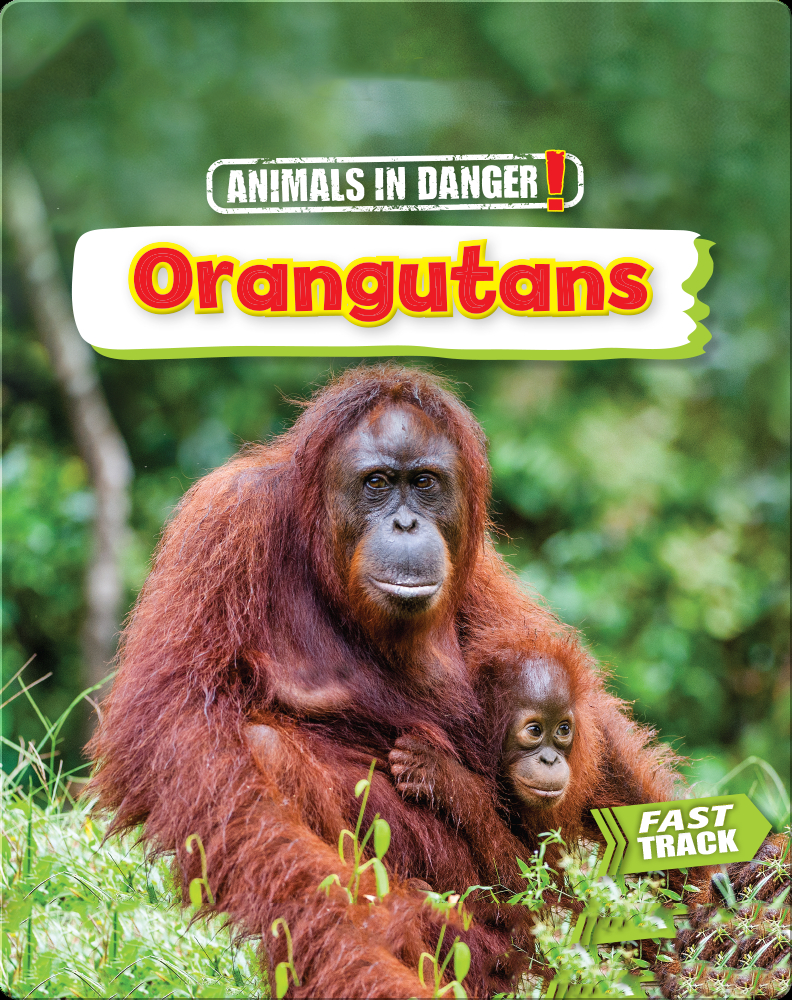 Animals in Danger: Orangutans Book by Nancy Dickmann | Epic