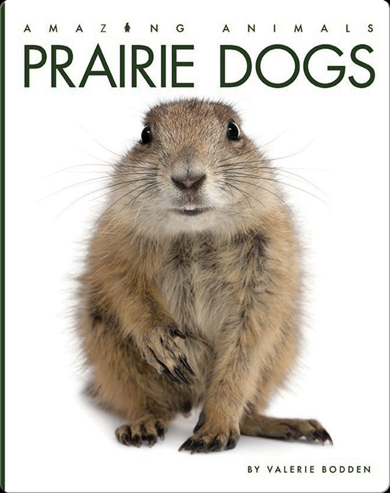 Amazing Animals: Prairie Dogs Book by Valerie Bodden | Epic
