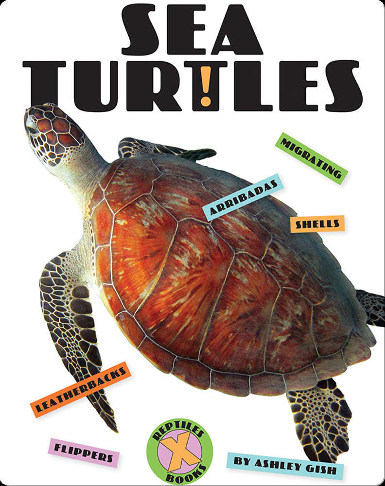 Sea Turtles Book by Ashley Gish | Epic