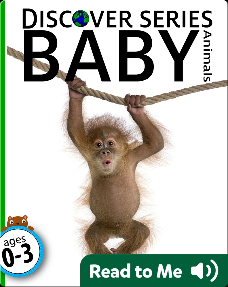 Baby Animals Book by Xist Publishing | Epic