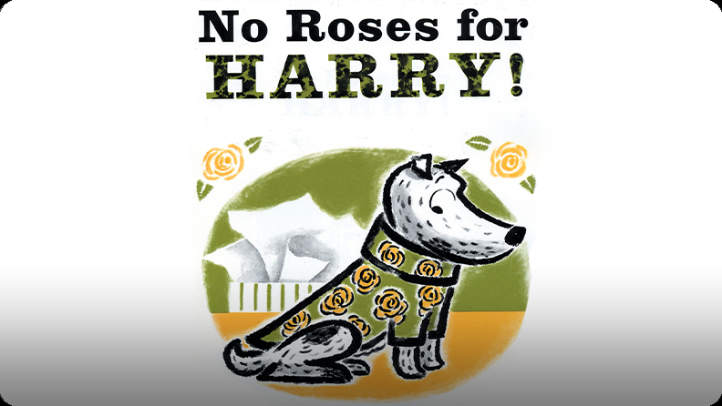 No Roses for Harry Video | Discover Fun and Educational Videos That ...