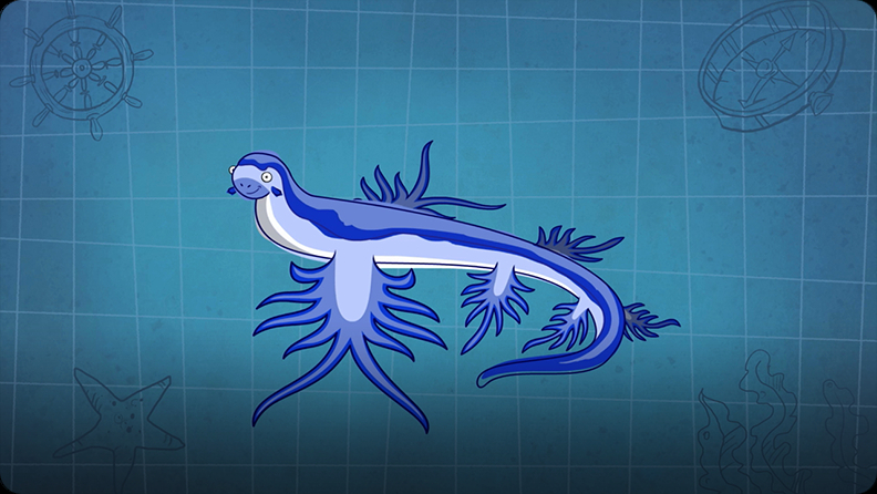I’m A Blue Dragon Fish Video | Discover Fun and Educational Videos That ...