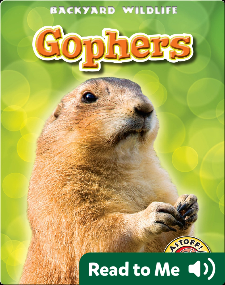 Gophers: Backyard Wildlife Book by Derek Zobel | Epic
