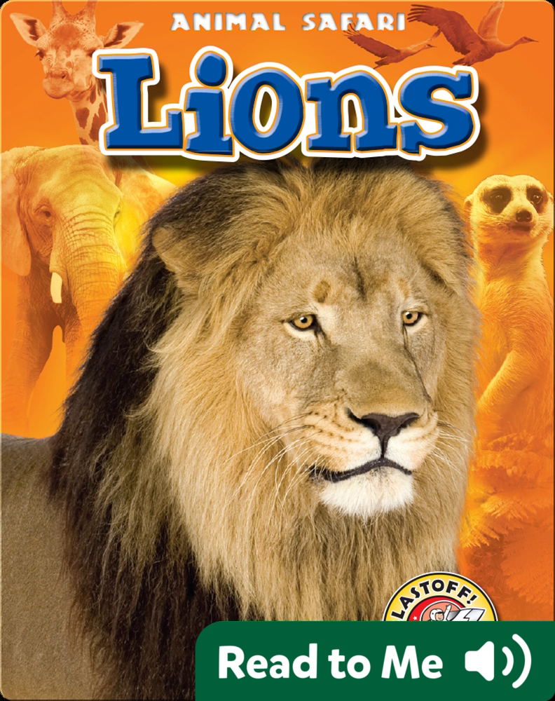 Lions: Animal Safari Book by Derek Zobel | Epic