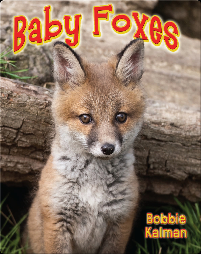 Baby Foxes Book by Bobbie Kalman | Epic