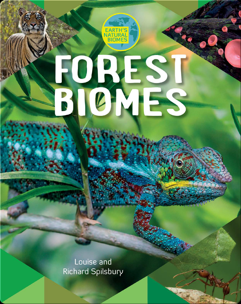 Forest Biomes Book by Louise Spilsbury, Richard Spilsbury | Epic