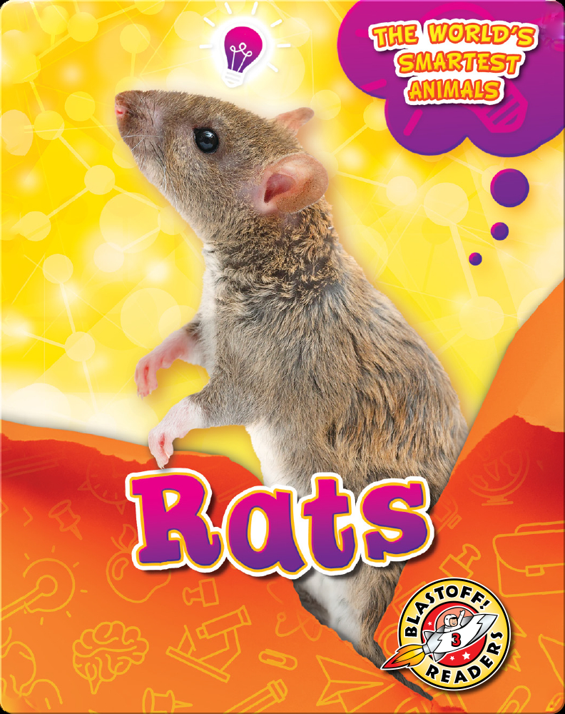 The World's Smartest Animals: Rats Book by Joanne Mattern | Epic