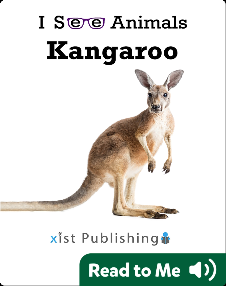 I See Animals: Kangaroo Book by August Hoeft | Epic
