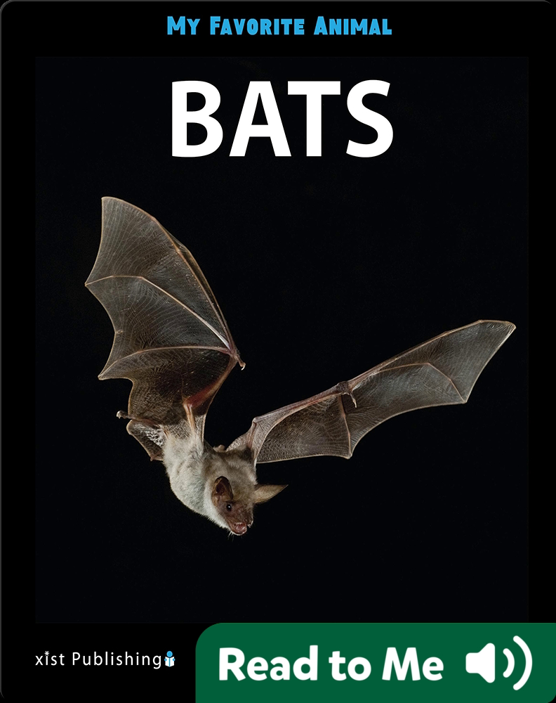 My Favorite Animal: Bats Book by Victoria Marcos | Epic