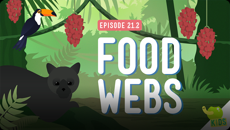 Crash Course Kids: Food Webs Video | Discover Fun and Educational ...