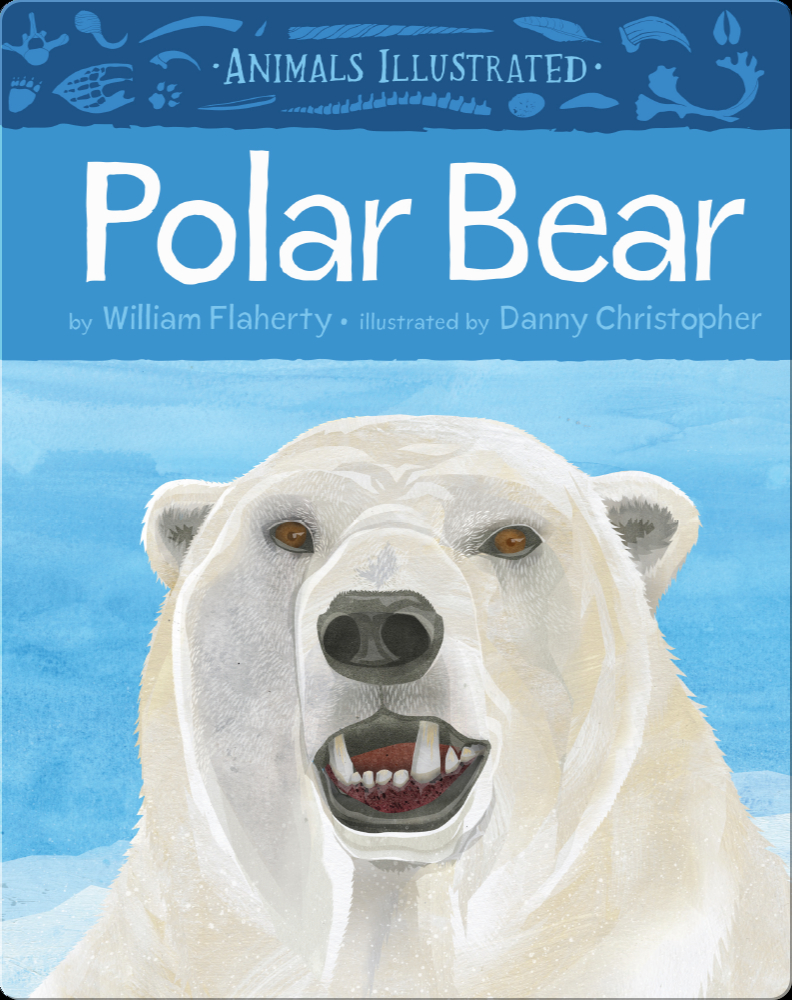 Animals Illustrated: Polar Bear Book by William Flaherty | Epic