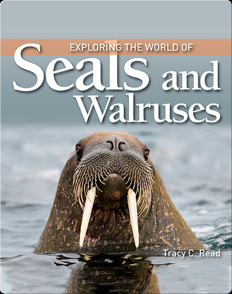 Exploring the World of Seals and Walruses Book by Tracy C. Read | Epic