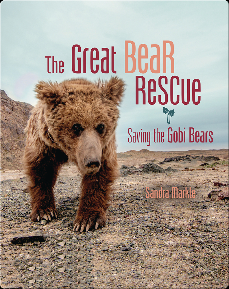 The Great Bear Rescue: Saving the Gobi Bears Book by Sandra Markle | Epic