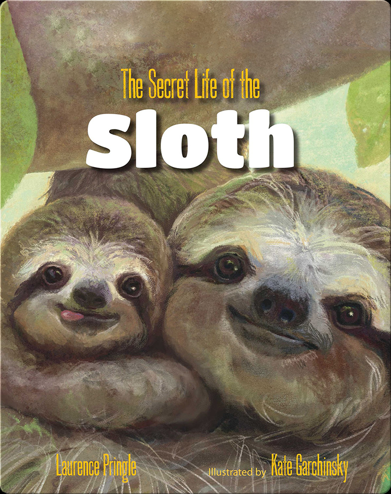 The Secret Life of the Sloth Book by Laurence Pringle | Epic