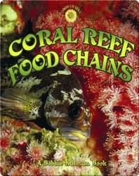 Coral Reef Children's Book Collection | Discover Epic Children's Books ...