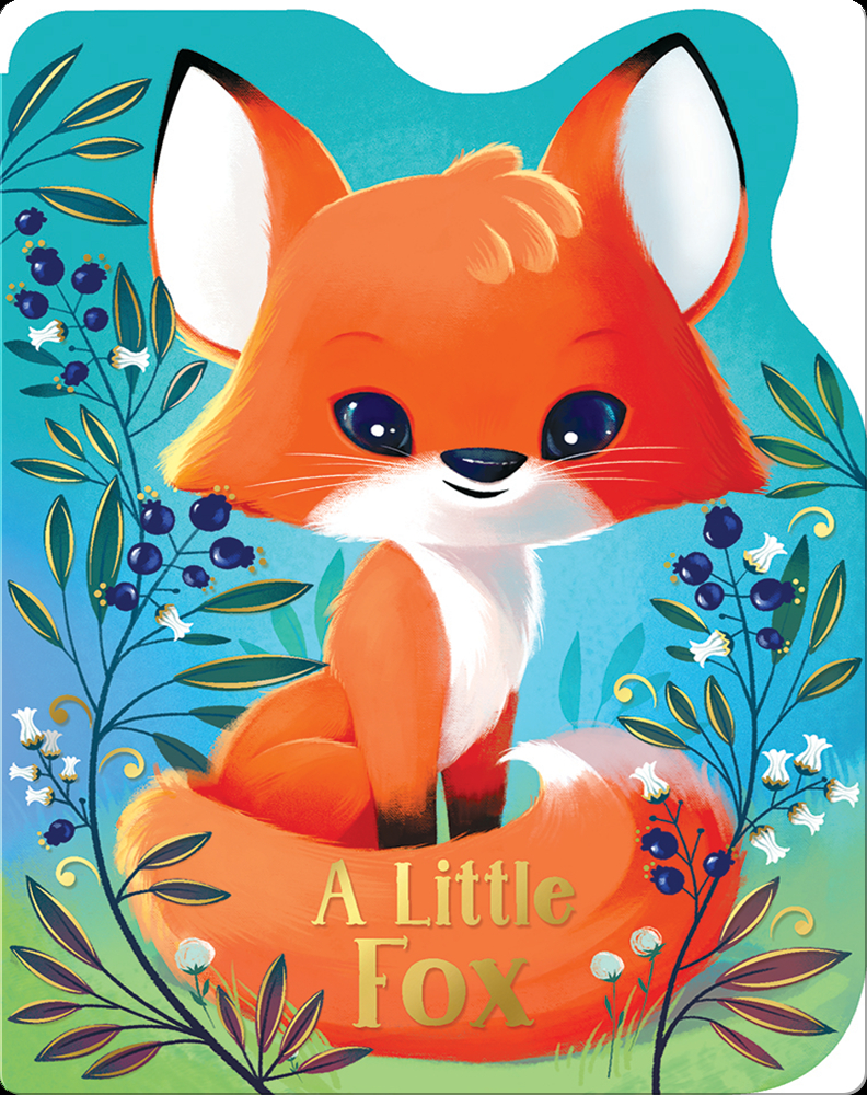 A Little Fox Book by Rosalee Wren | Epic