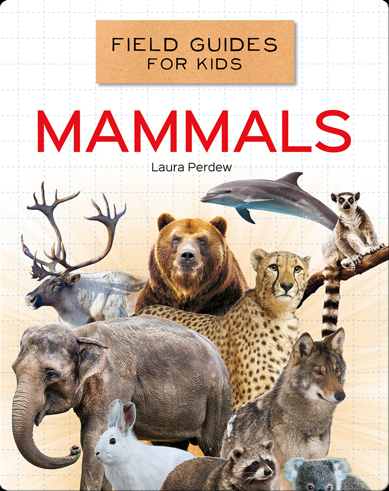 Field Guides for Kids: Mammals Book by Laura Perdew | Epic