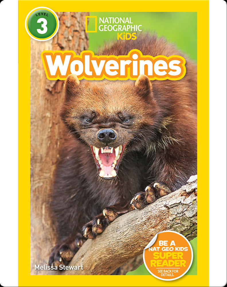 National Geographic Readers: Wolverines Book by Melissa Stewart | Epic