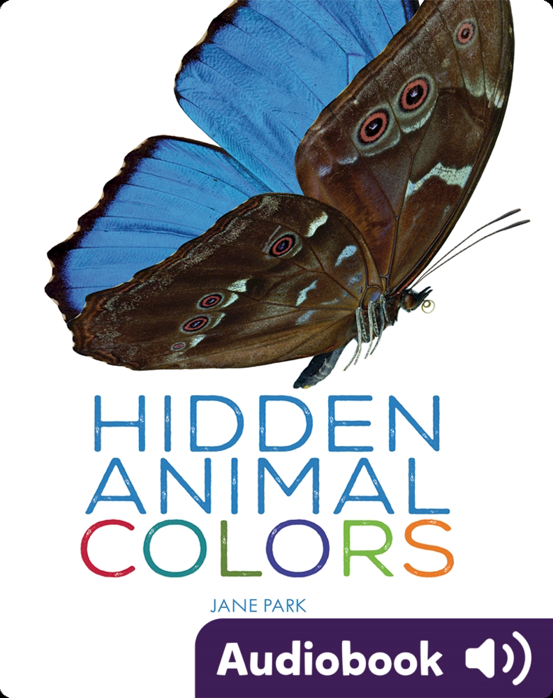 Hidden Animal Colors Children's Audiobook by Jane Park | Explore this ...