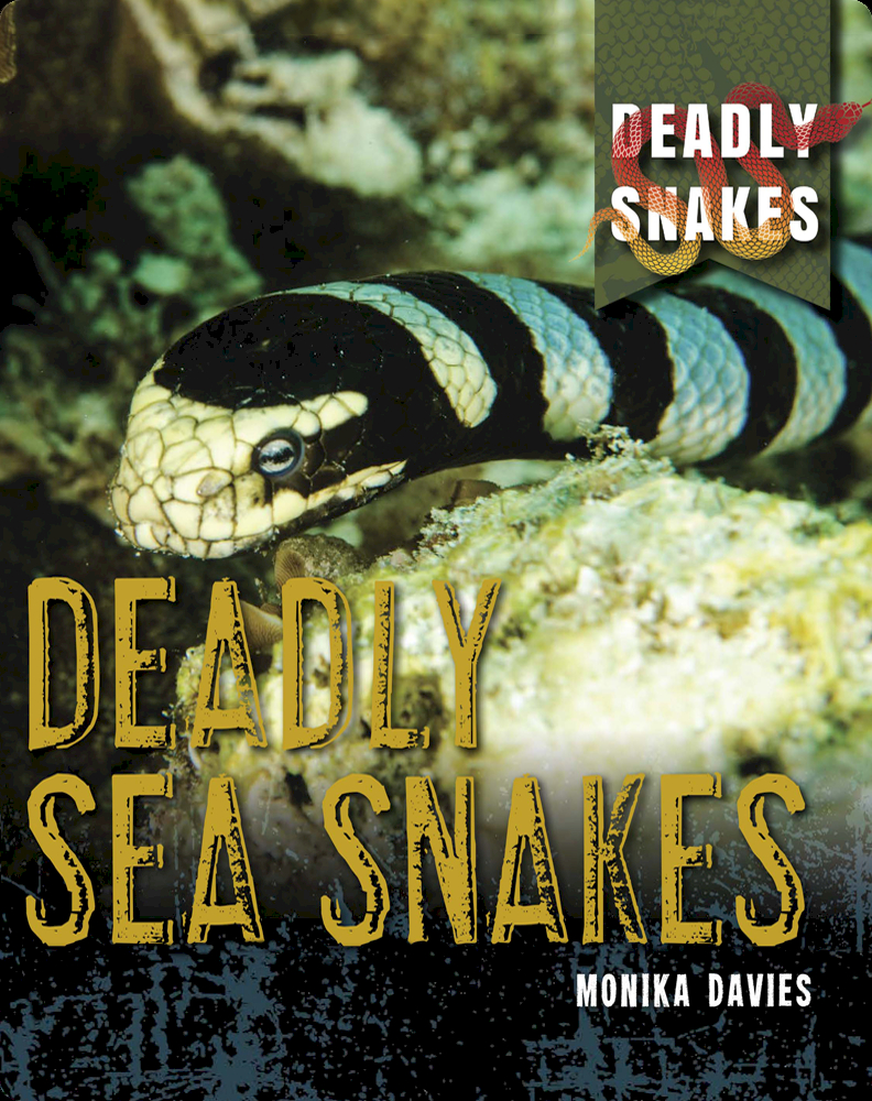 Deadly Snakes: Deadly Sea Snakes Book by Monika Davies | Epic