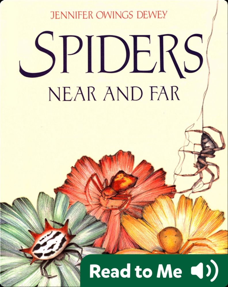 Spiders Near and Far Book by Jennifer Owings Dewey | Epic