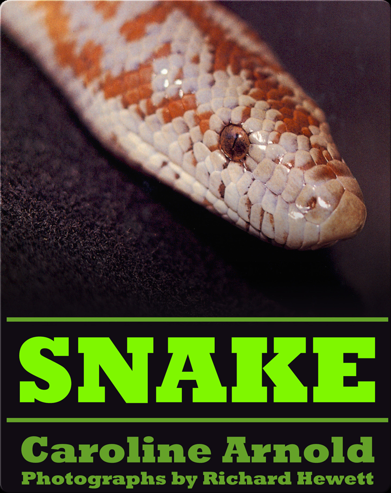 Snake Book by Caroline Arnold | Epic
