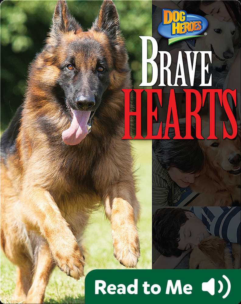 Brave Hearts Book by Meish Goldish | Epic