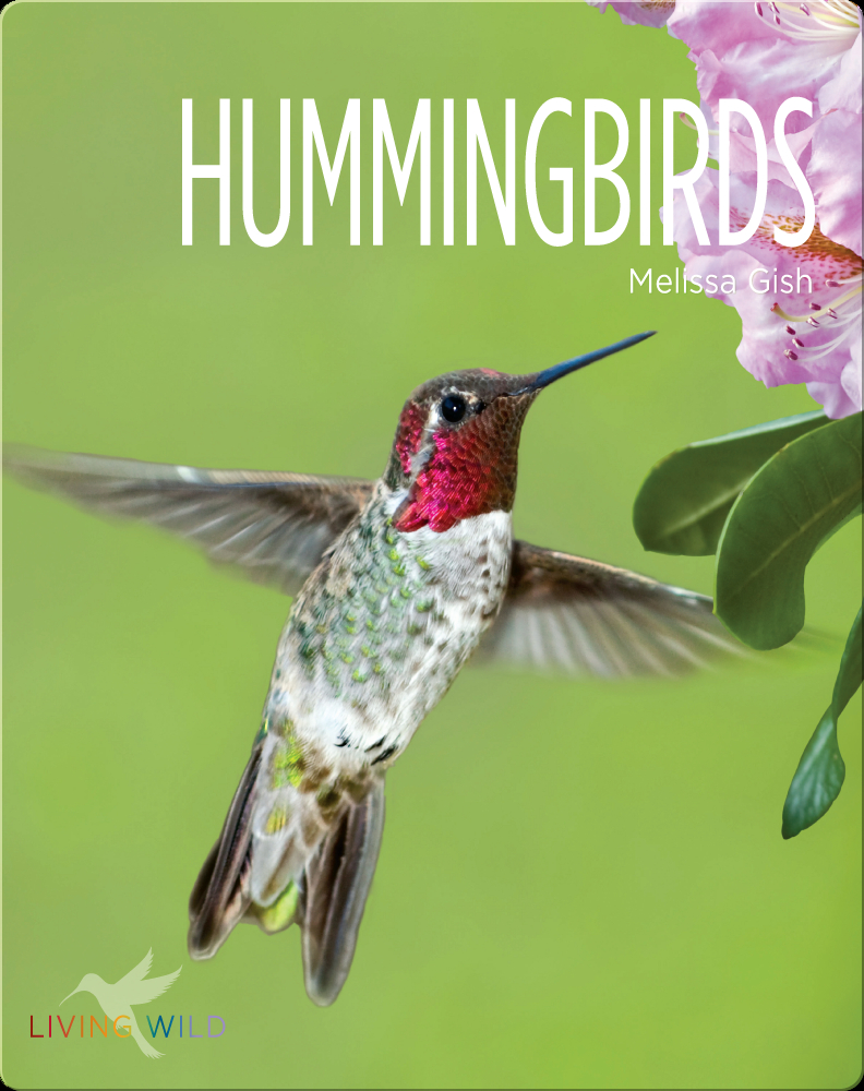 Hummingbirds Book by Melissa Gish | Epic