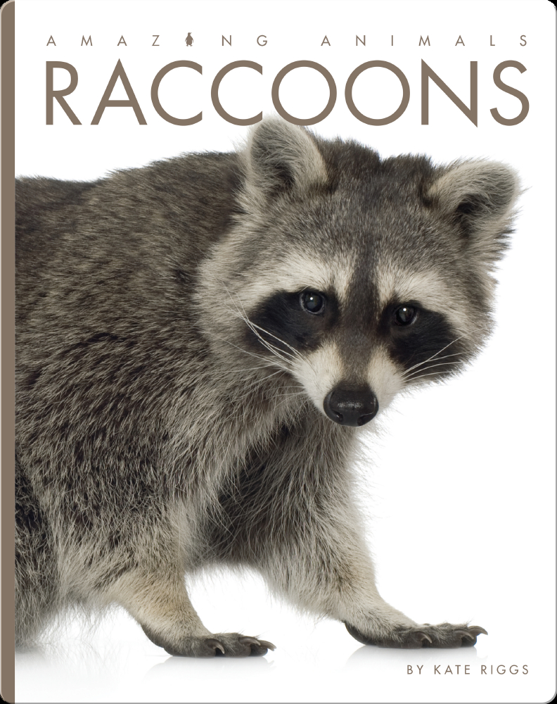 Raccoons Book by Kate Riggs | Epic