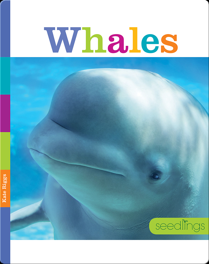 Whales Book by Kate Riggs | Epic