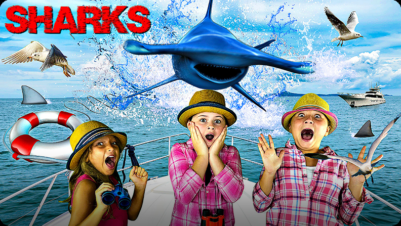 Learn About Sharks for Kids | Fun Facts About Hammerhead Sharks! Video ...