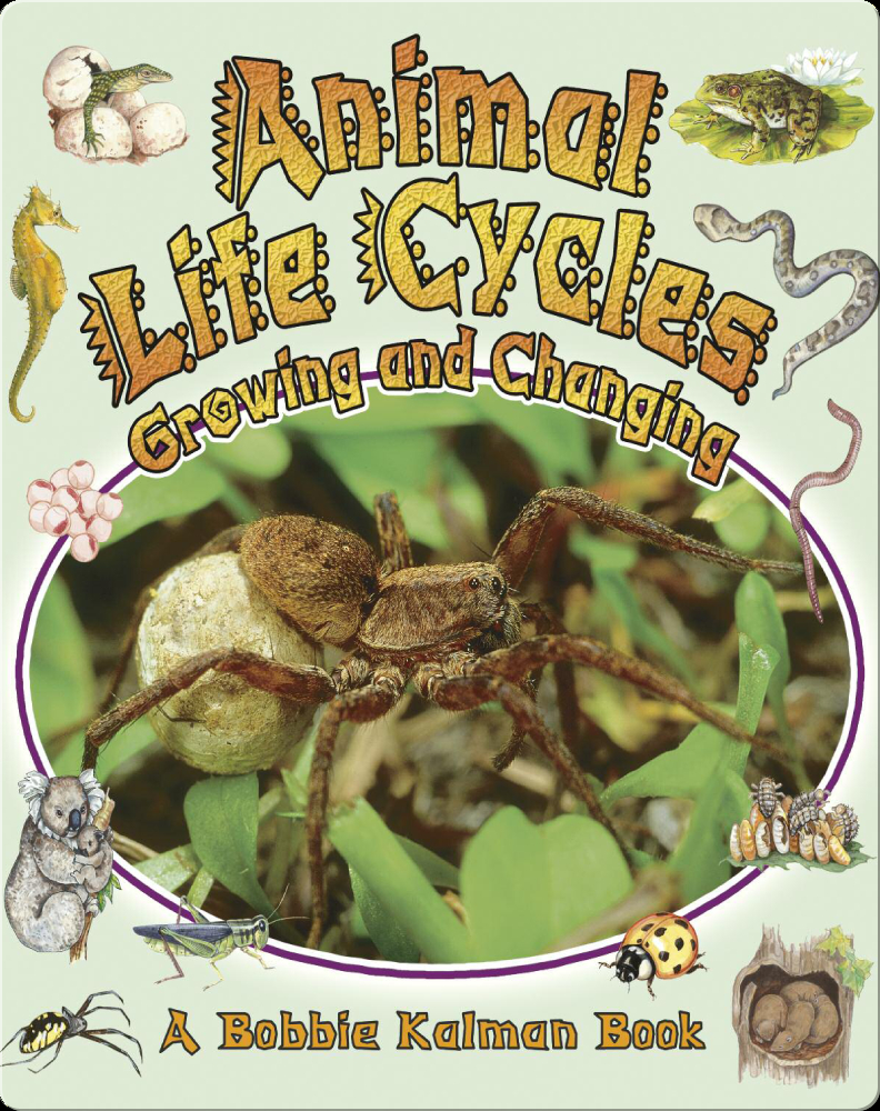 Animal Life Cycles: Growing and Changing Book by Bobbie Kalman | Epic