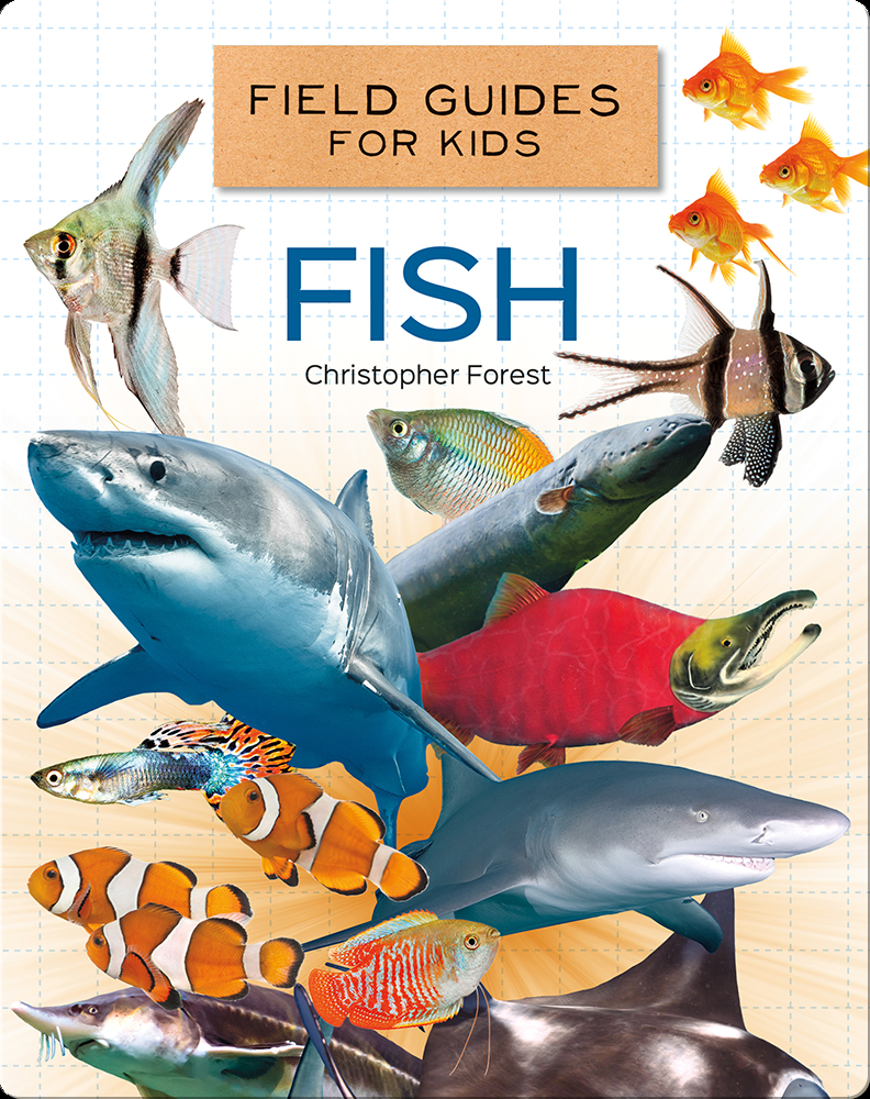 Field Guides for Kids: Fish Book by Christopher Forest | Epic