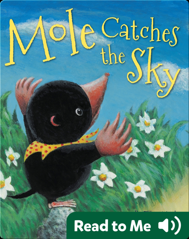 Mole Catches the Sky Book by Ellen Tarlow | Epic