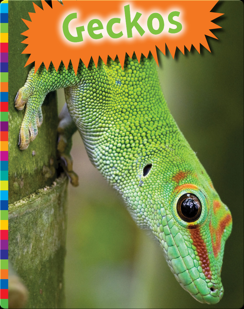 Geckos Book by Elizabeth Raum | Epic