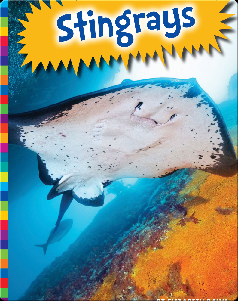 Stingrays Book by Elizabeth Raum | Epic