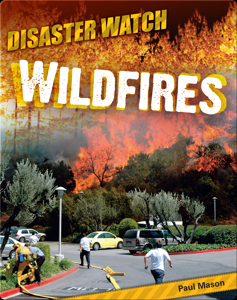 Wildfires Book by Paul Mason | Epic