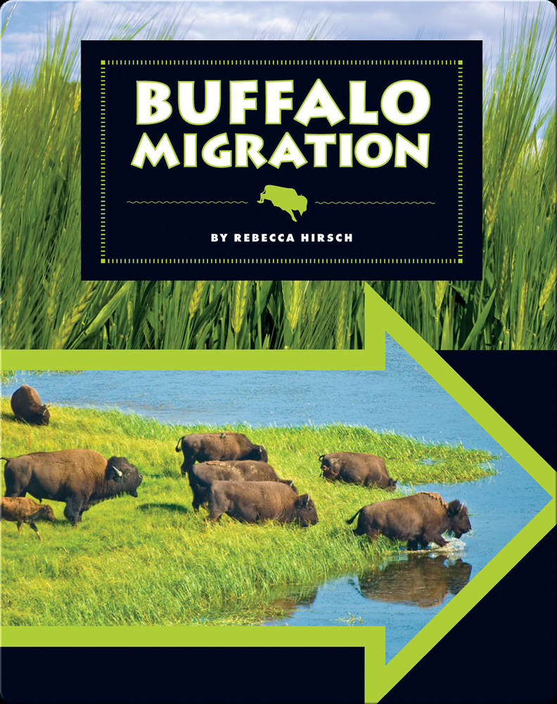 Buffalo Migration Book by Rebecca Hirsch | Epic