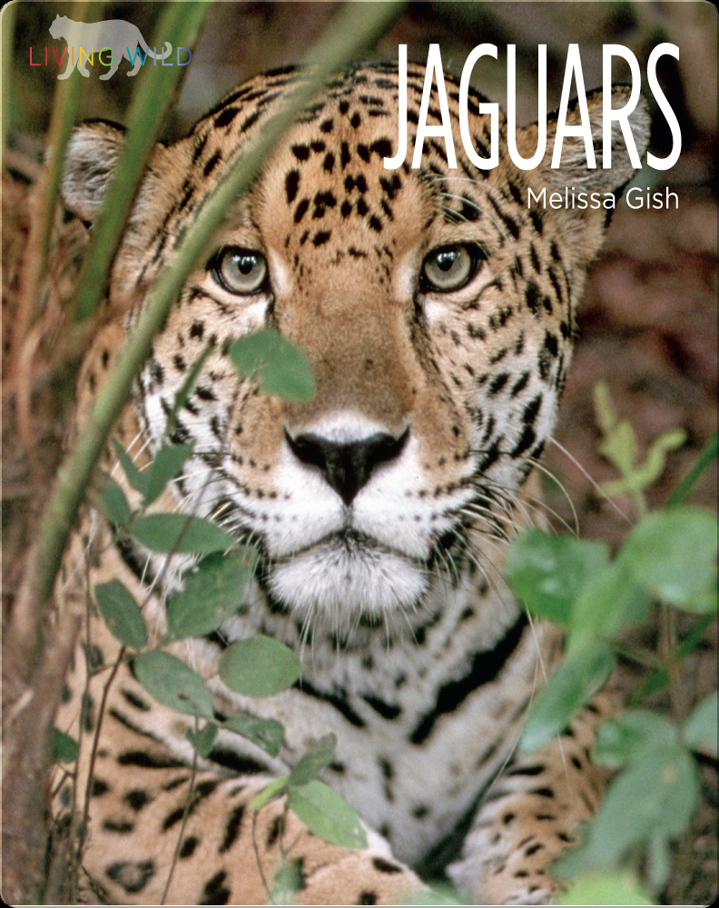 Jaguars Book by Melissa Gish | Epic
