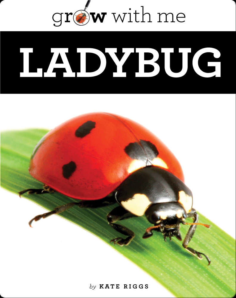 Ladybug Book by Kate Riggs | Epic