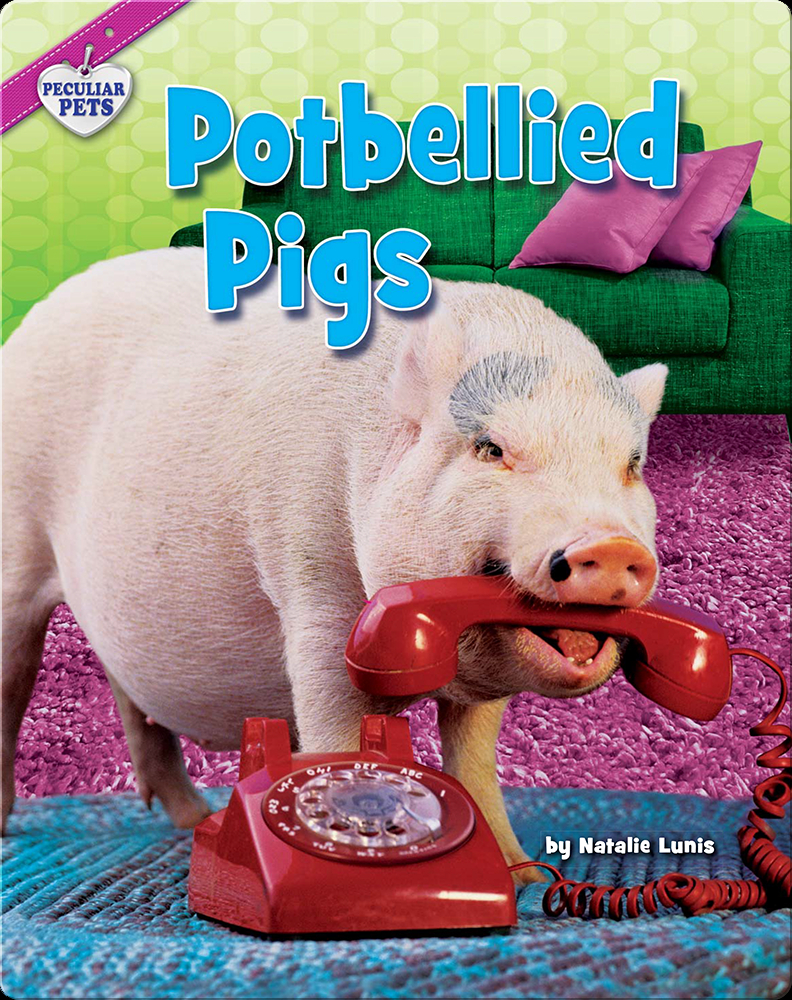 Potbellied Pigs Book by Natalie Lunis | Epic
