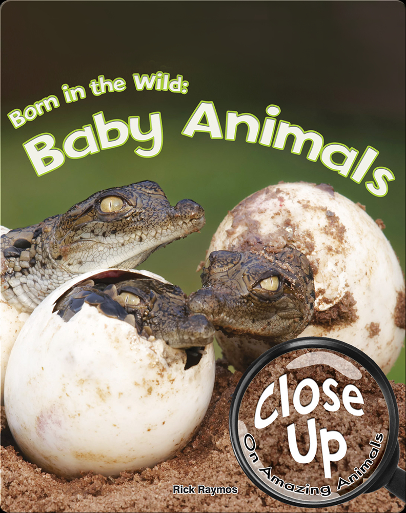 Born in the Wild: Baby Animals Book by Rick Raymos | Epic
