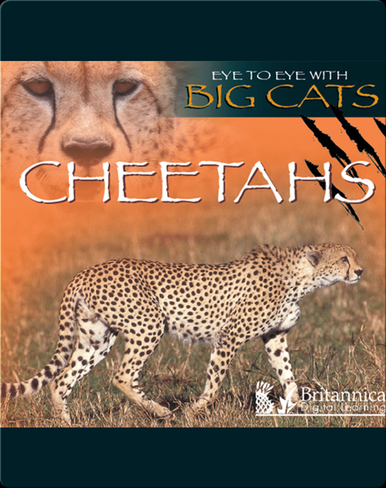 Cheetahs Book by Jason Cooper | Epic